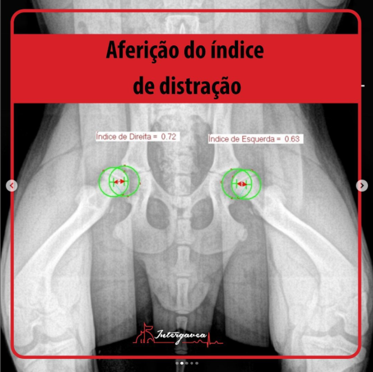 Teste de Pennhip – Intergavea